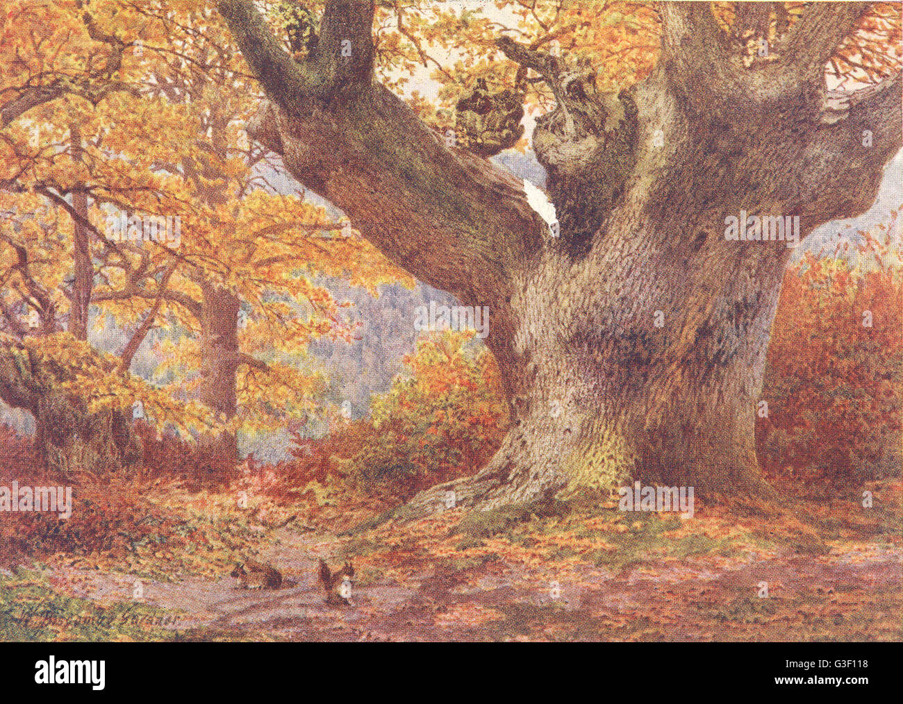 Holwood park hi-res stock photography and images - Alamy