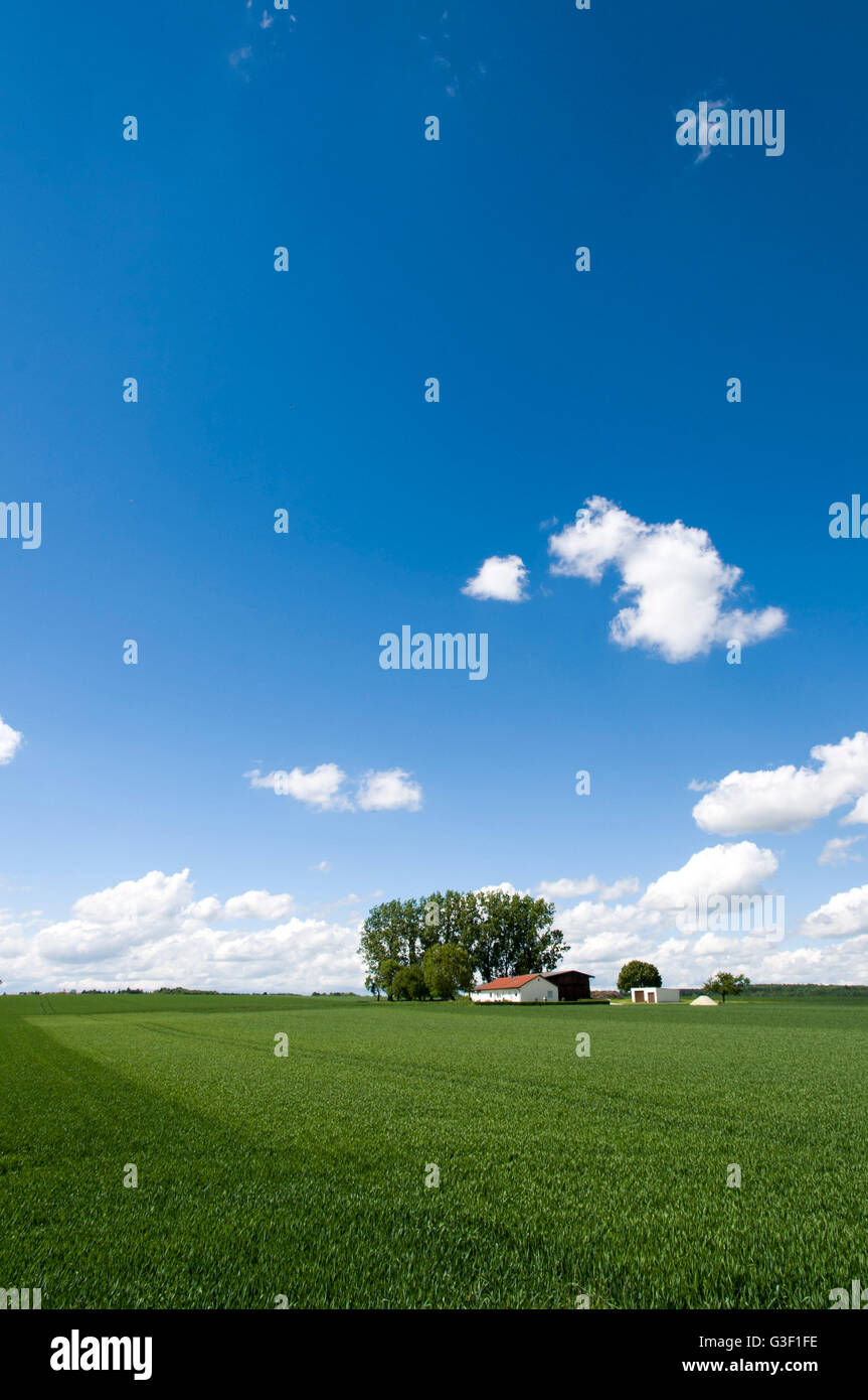 Farmstead hi-res stock photography and images - Alamy