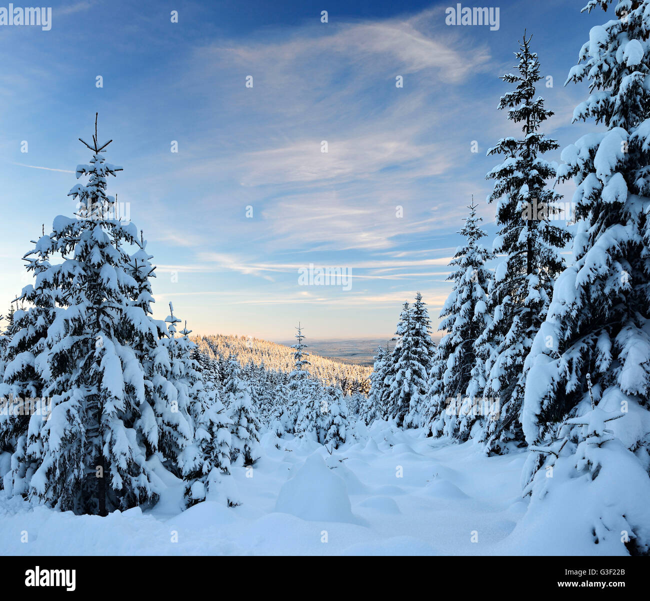 Grosser winterberg hi-res stock photography and images - Alamy