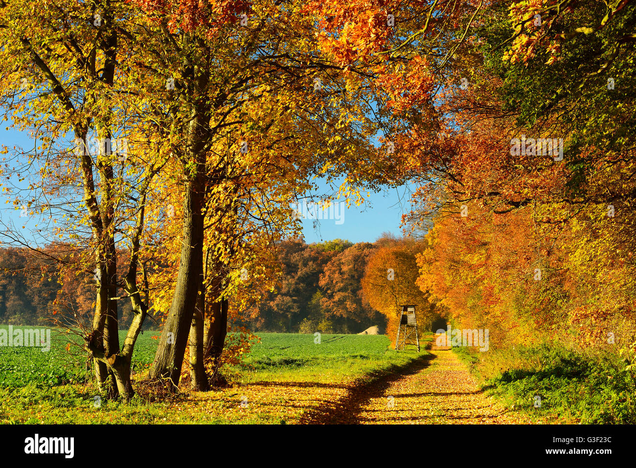 Footpath status hi-res stock photography and images - Alamy