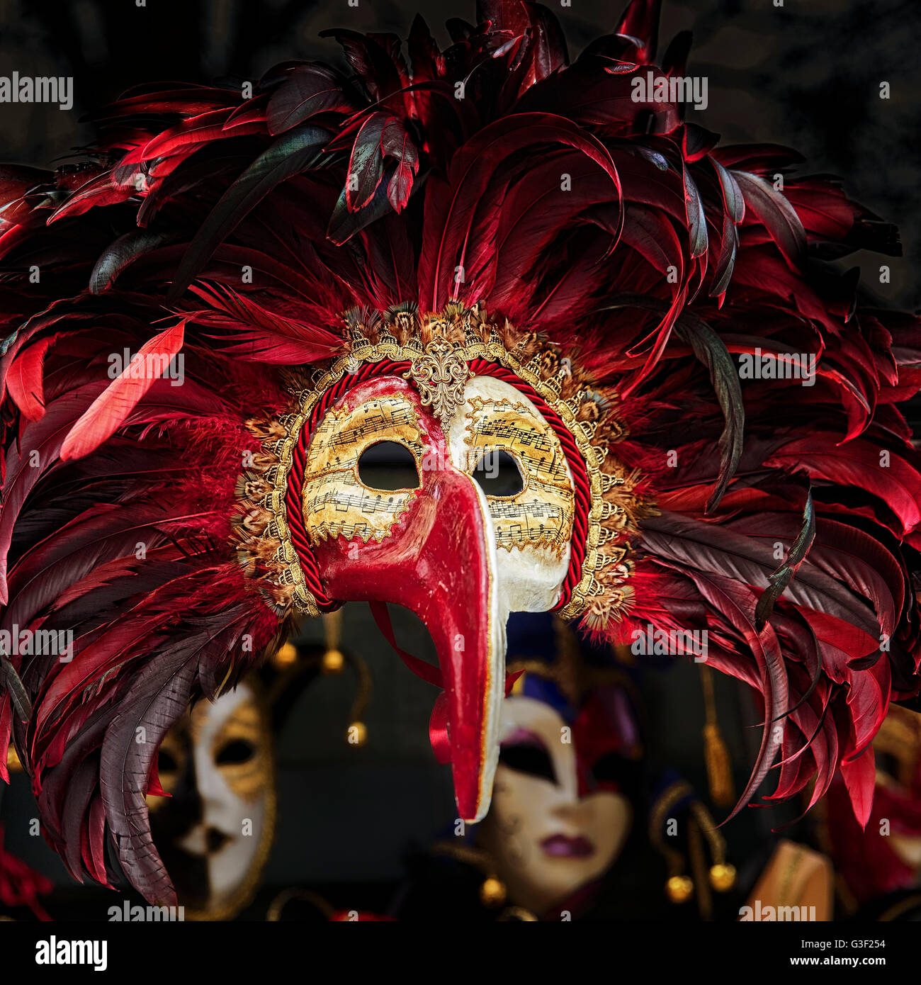Beak mask venice hi-res stock photography and images - Alamy