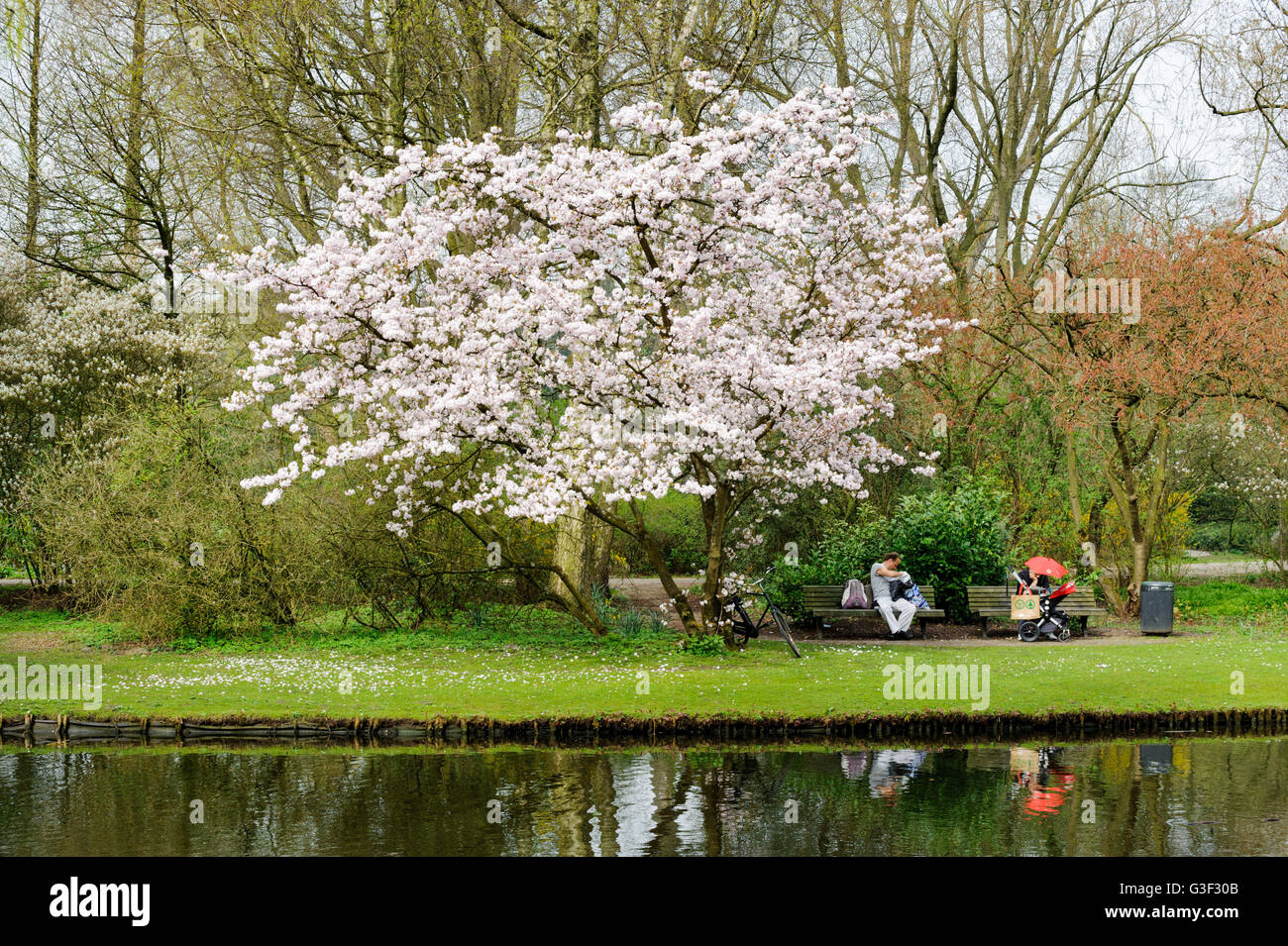 Beatrixpark hi-res stock photography and images - Alamy