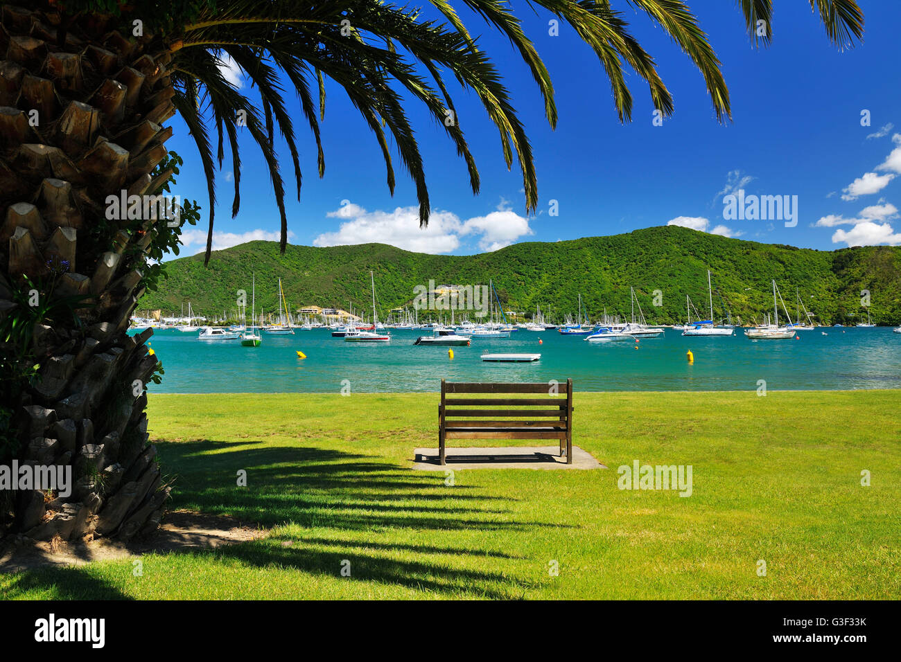 Bay with Palm Tree and Bench, Waikawa, Marlborough, South Island, New ...