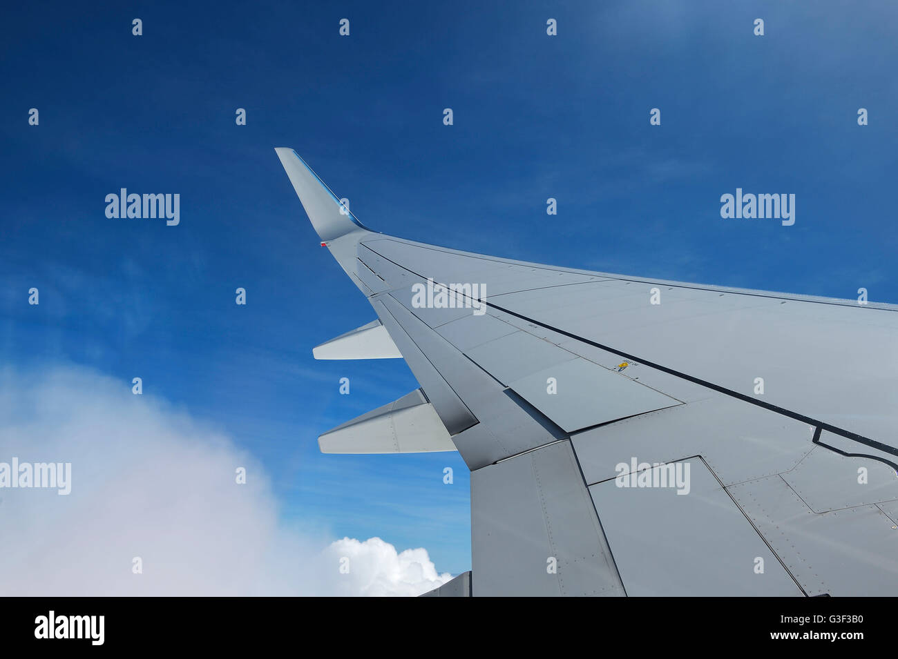 Look at the Aircraft Wing at Startup, Queensland, Australia Stock Photo ...