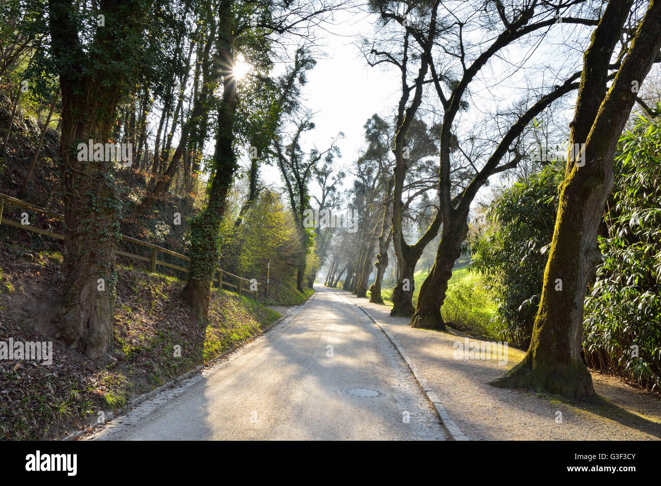 Staatspark fuerstenlager park hi-res stock photography and images - Alamy