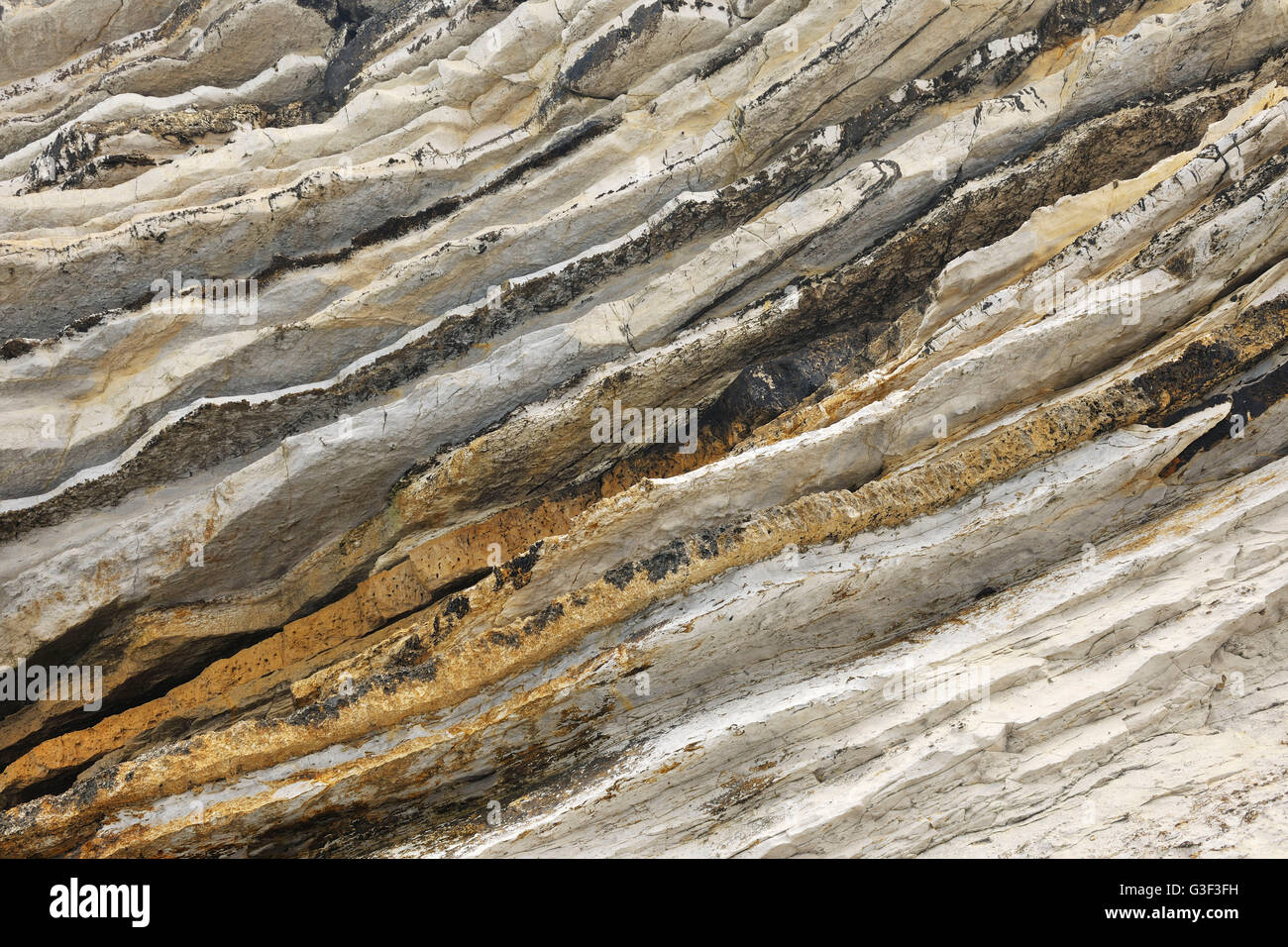 Ferrel portugal hi-res stock photography and images - Alamy