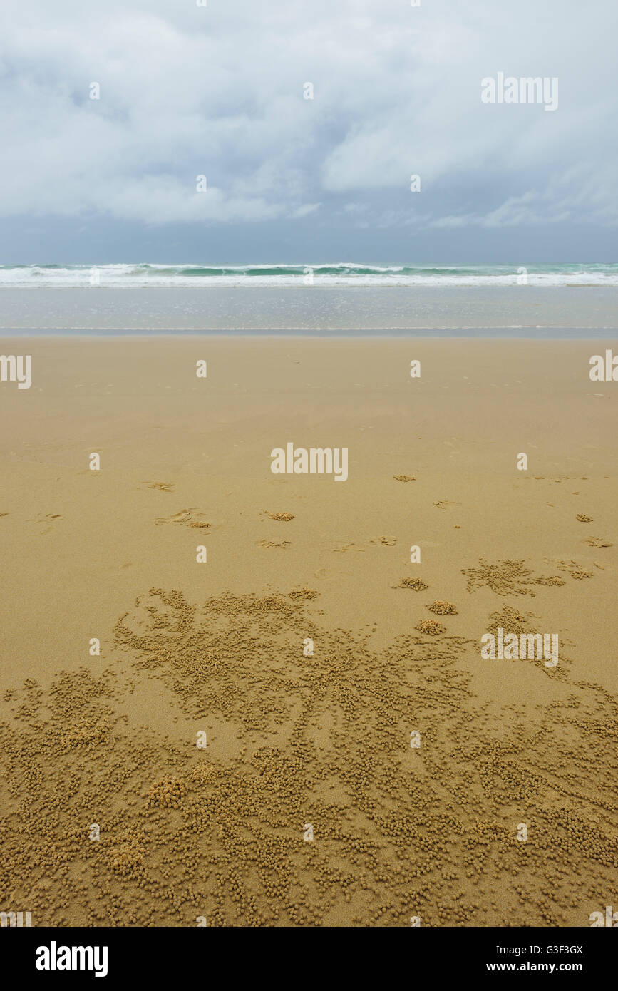 Peregian beach hi-res stock photography and images - Alamy