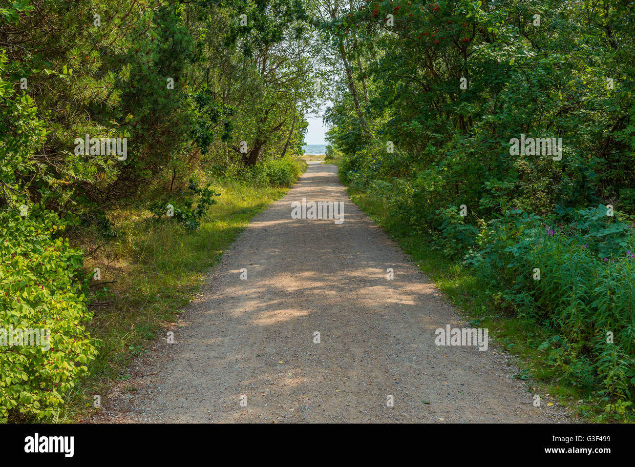 Karlslunde strand hi-res stock photography and images - Alamy
