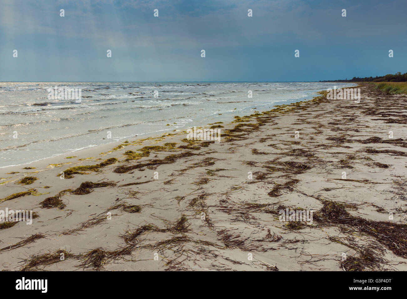 Sandy Beach, Karlslunde Strand, Karlslunde, Zealand, Denmark Stock ...