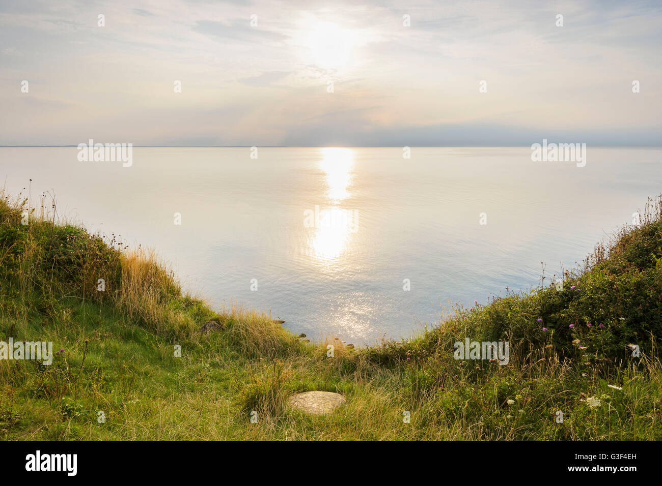 Shoreline with Sun in Summer, Fyns Hoved, Hindsholm, Kerteminde, Funen ...
