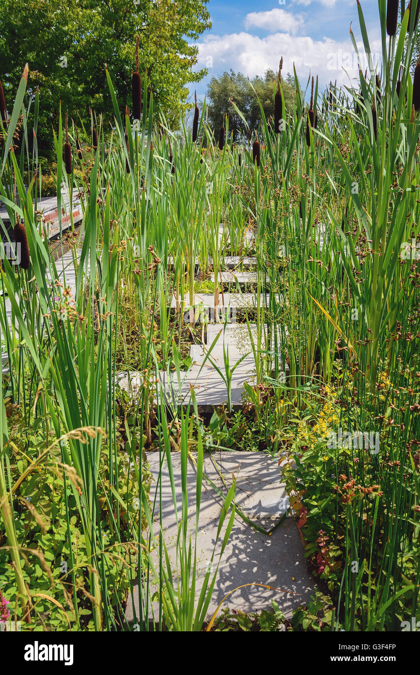 Garden pond water stepping stones hi-res stock photography and images ...