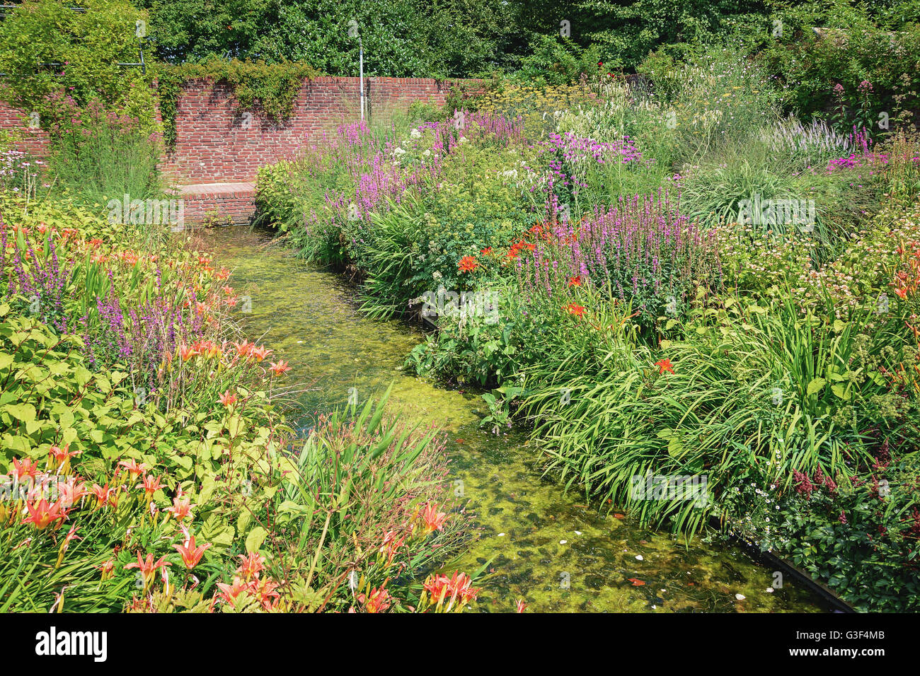 Overgrown decorative pond in the garden surrounded by flowering plants ...
