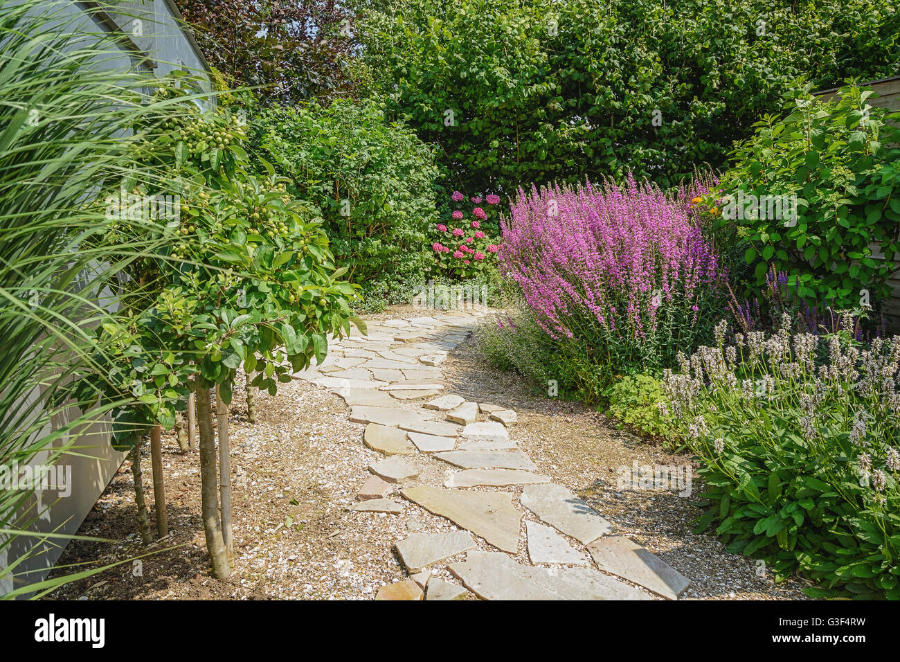 Decorative garden path surrounded by flowering plants Stock Photo - Alamy