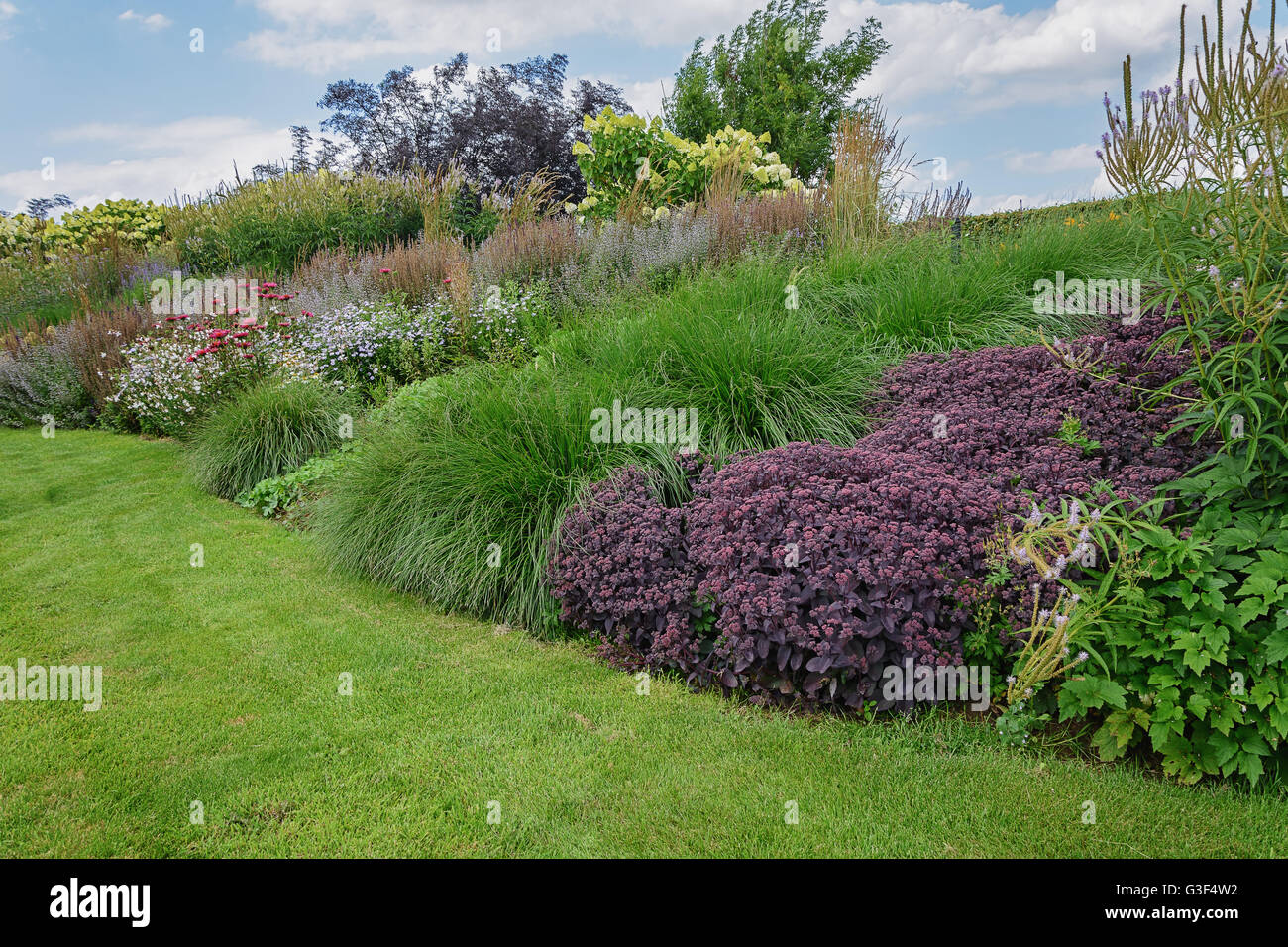 Border flowering plants hi-res stock photography and images - Alamy