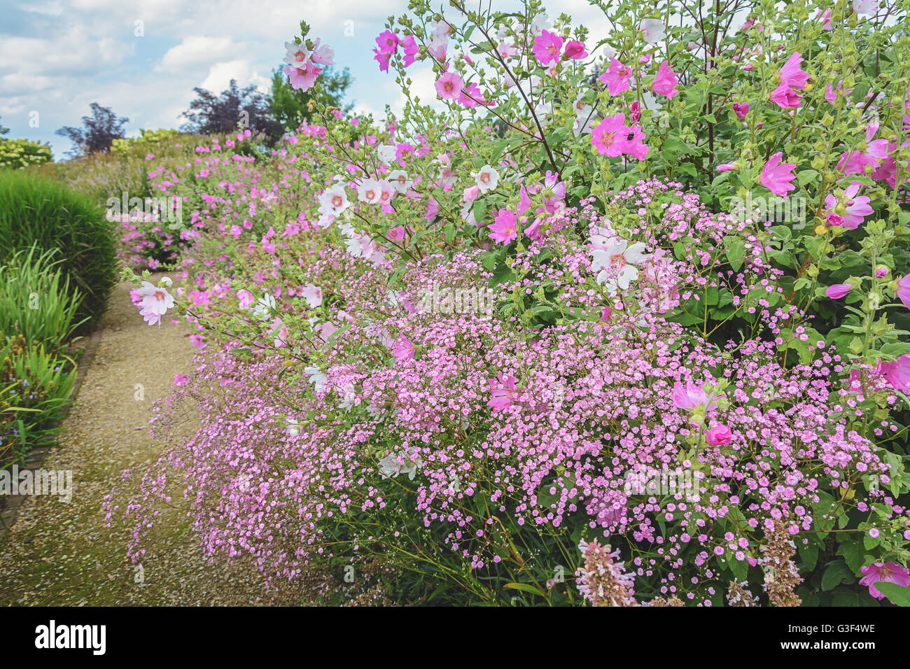 Wildflowers and border hi-res stock photography and images - Alamy