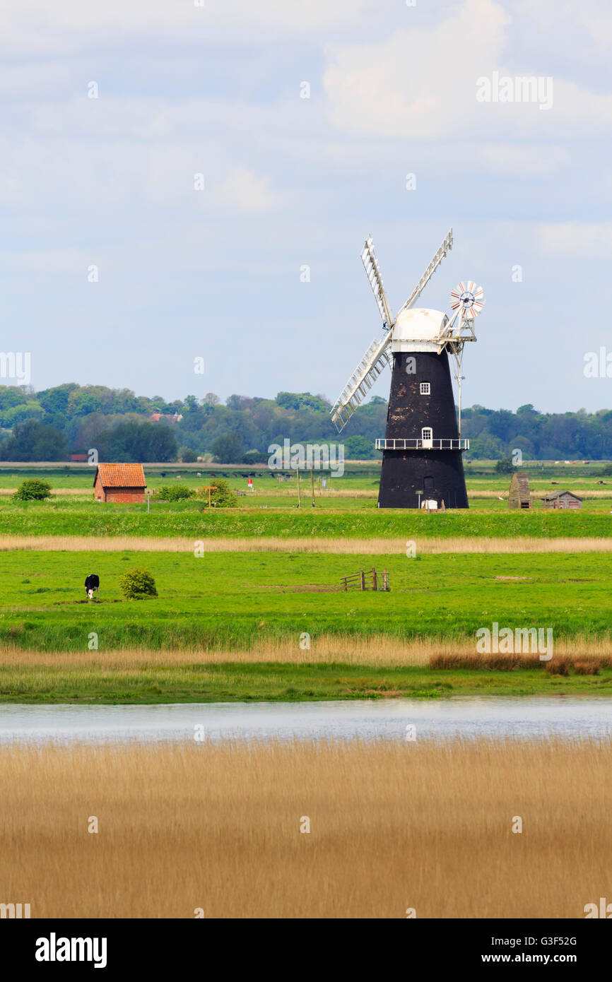 From reedham hi-res stock photography and images - Alamy