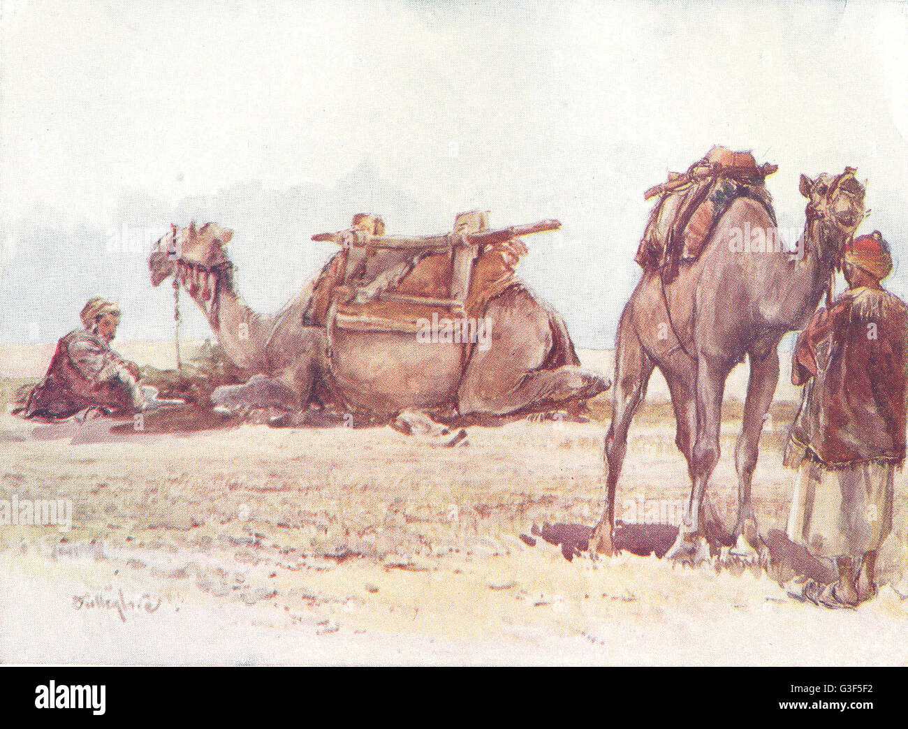 Painted camels hi-res stock photography and images - Alamy
