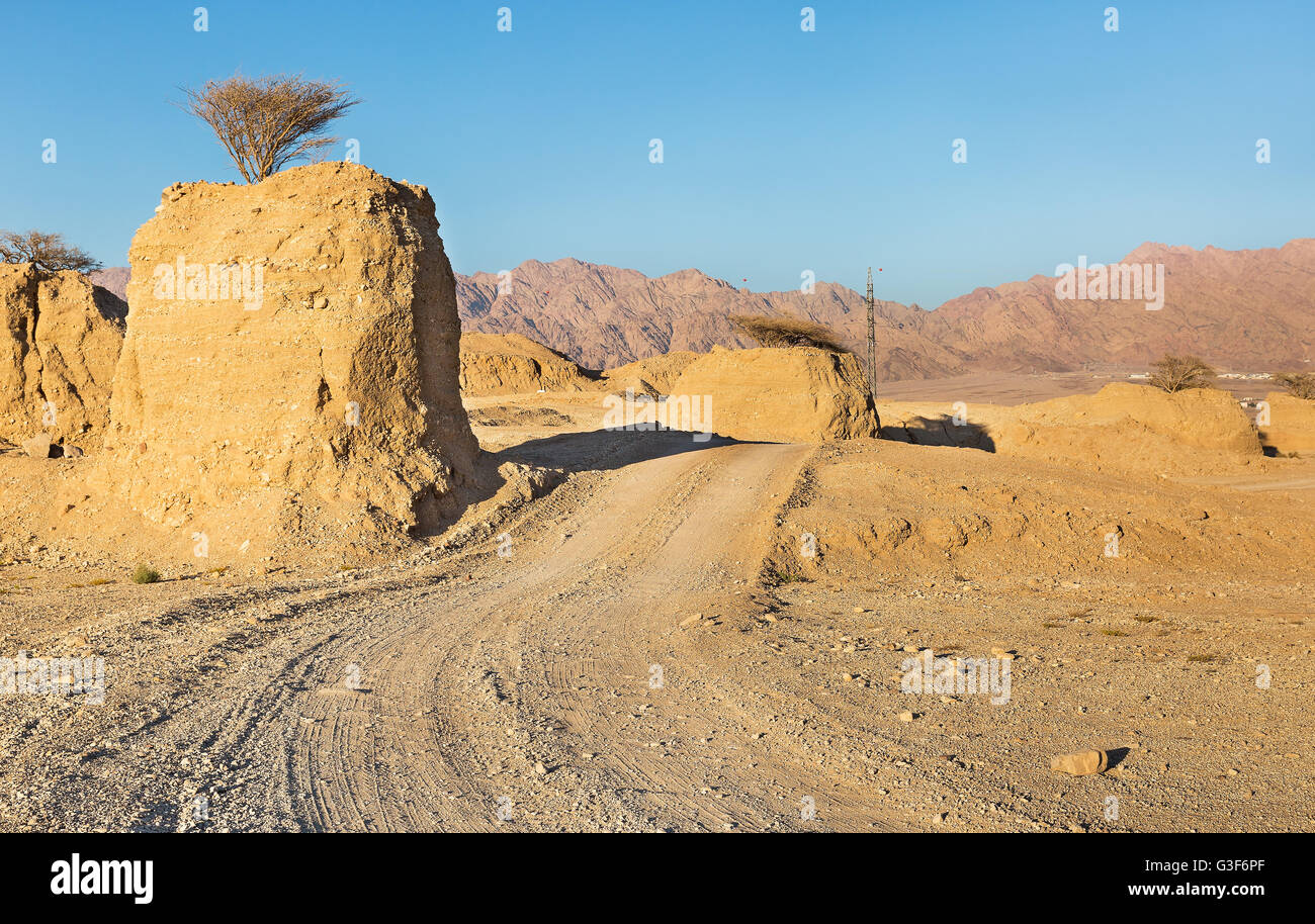 Acacia in the desert hi-res stock photography and images - Alamy