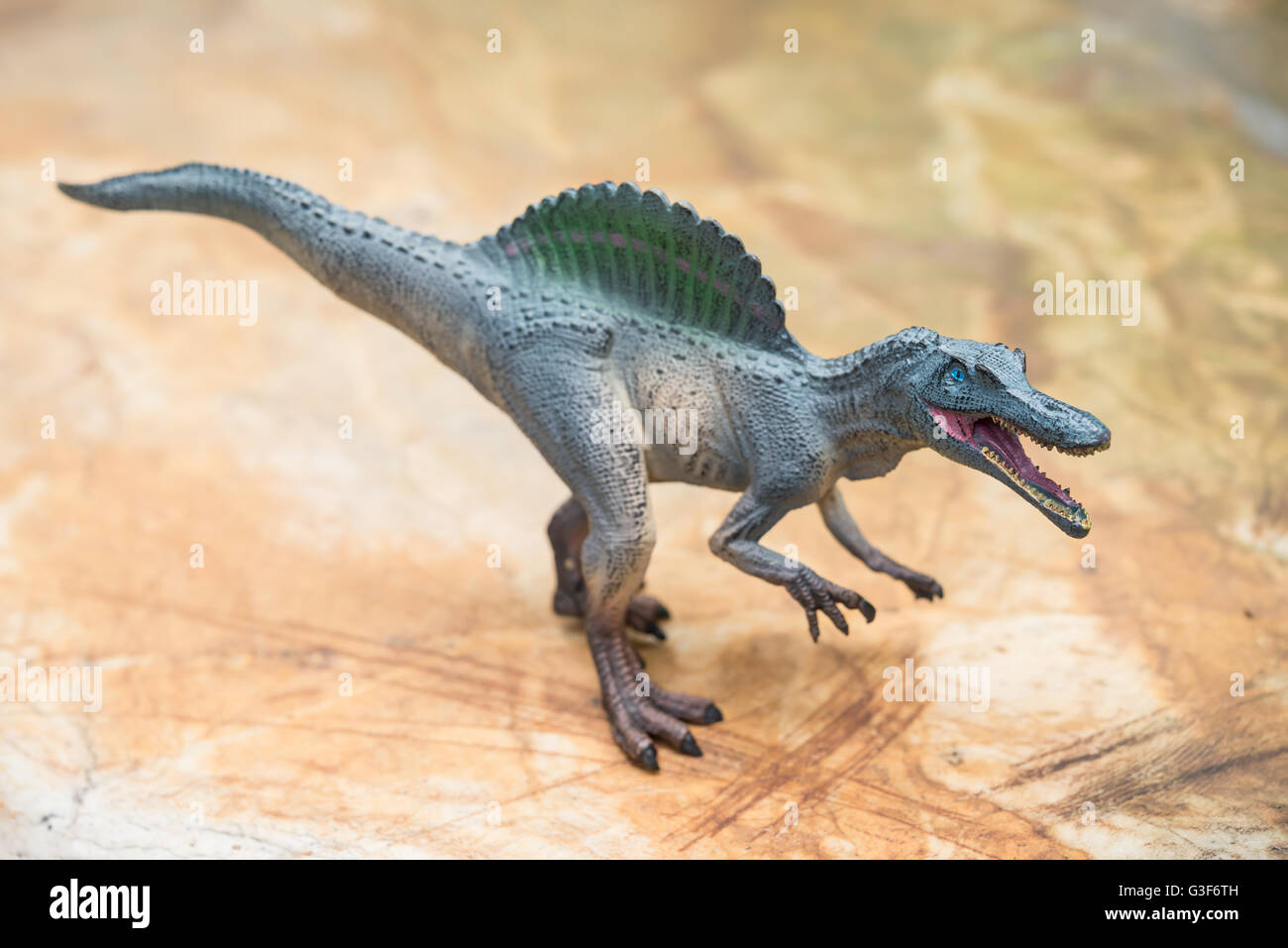 Spinosaurus model hi-res stock photography and images - Alamy
