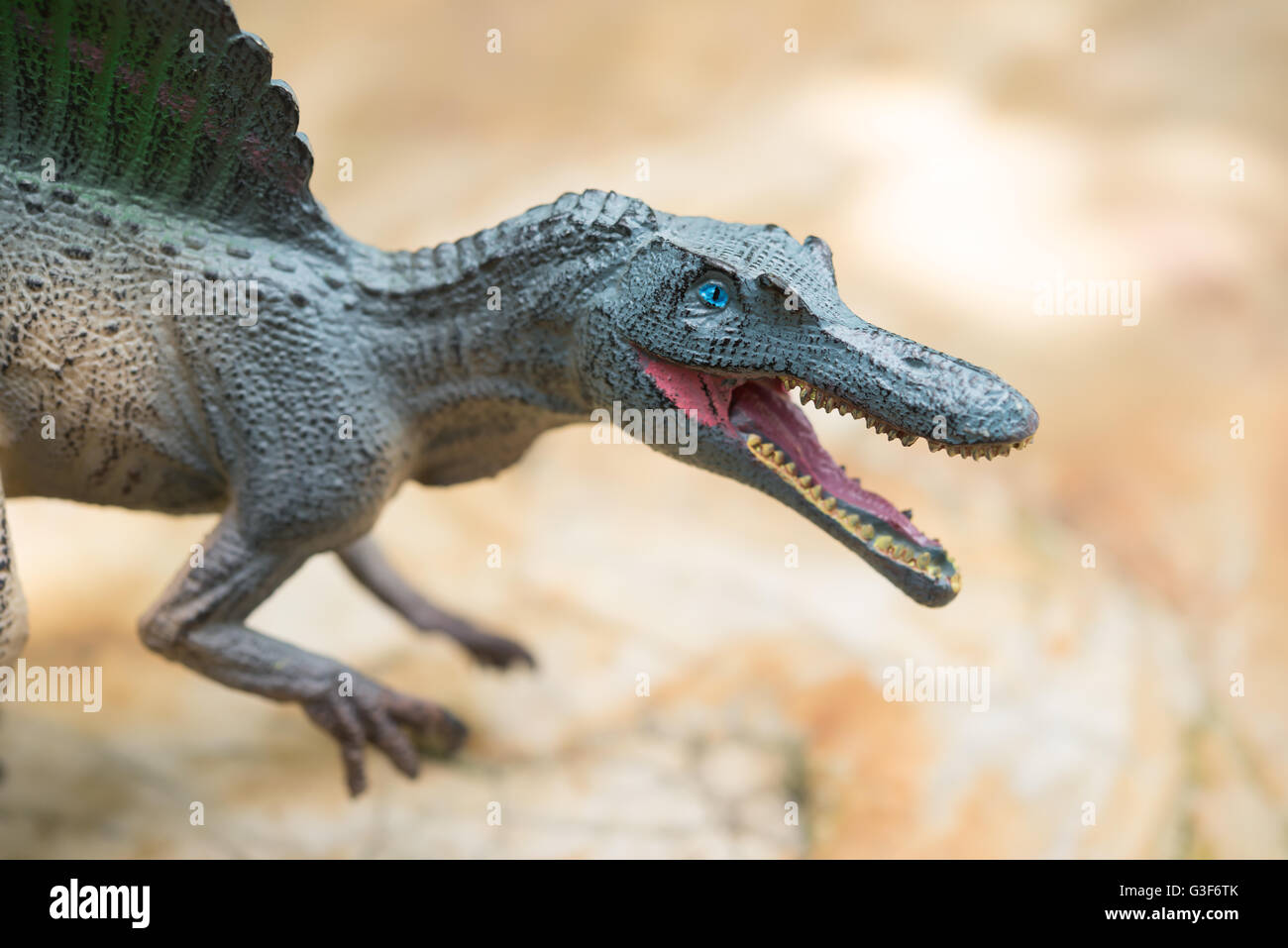 Spinosaurus model hi-res stock photography and images - Alamy