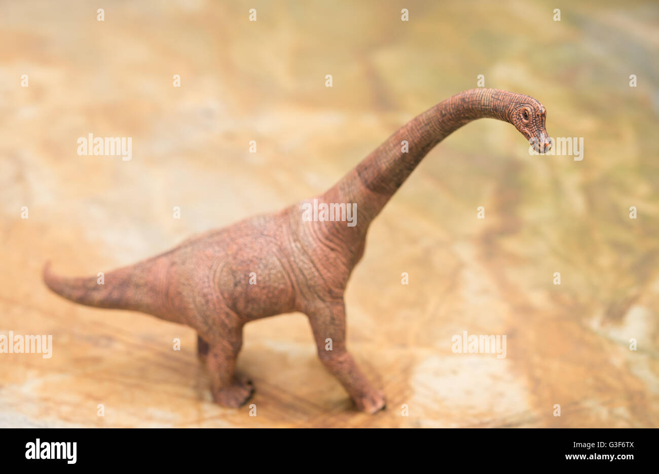 brachiosaurus toy standing on rock Stock Photo - Alamy
