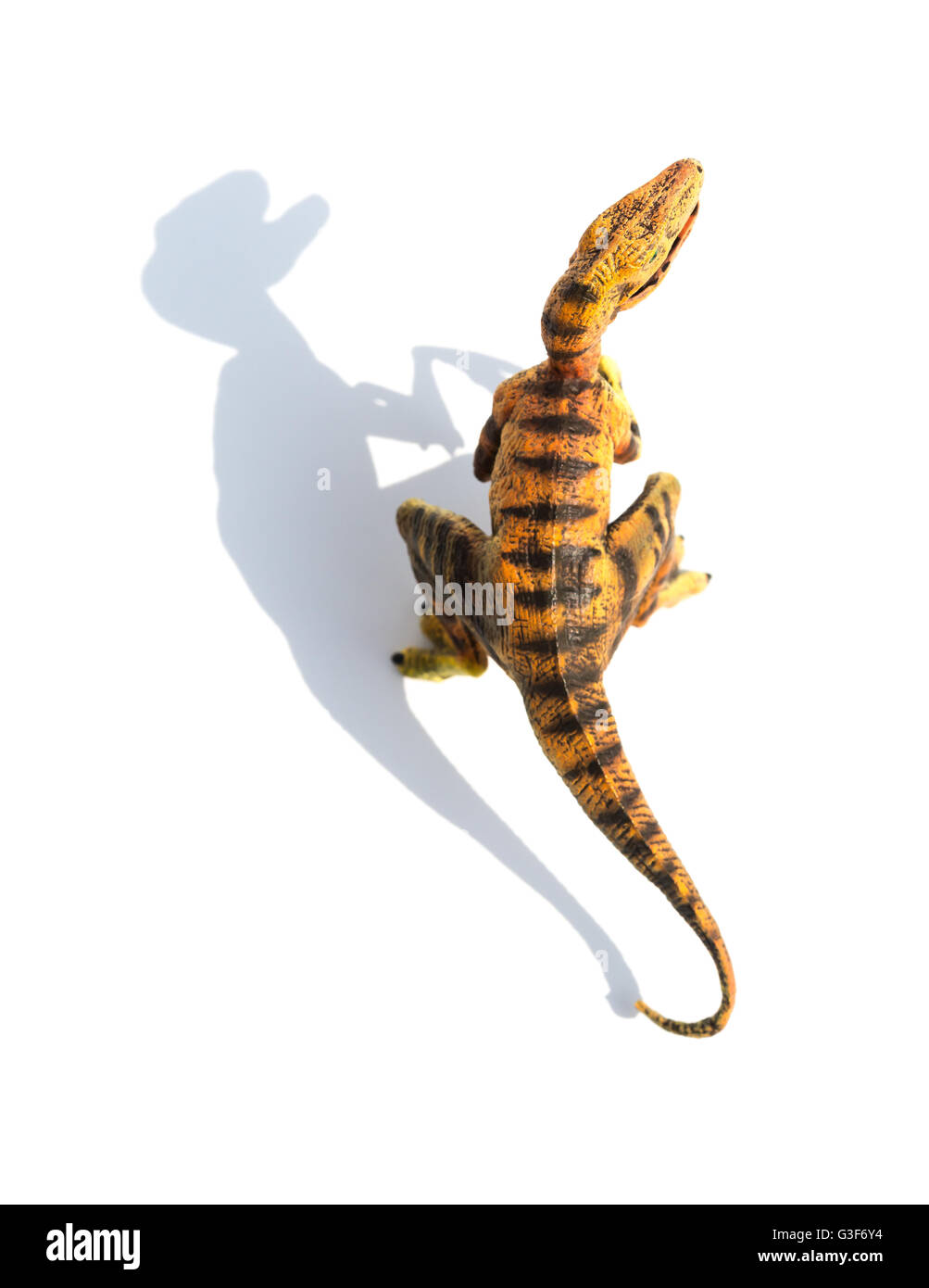 top view yellow velociraptor toy on a white background with shadow ...