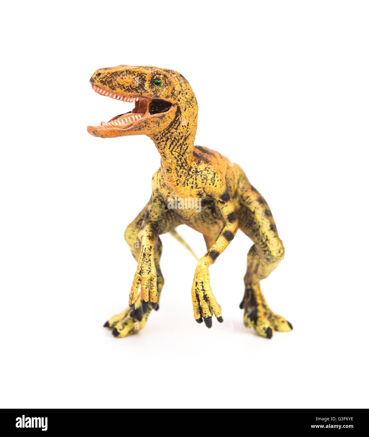 front view yellow velociraptor toy on a white background Stock Photo ...
