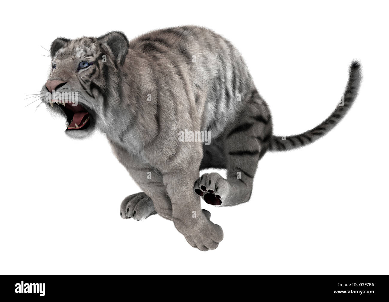 3D rendering of a white tiger isolated on white background Stock Photo ...