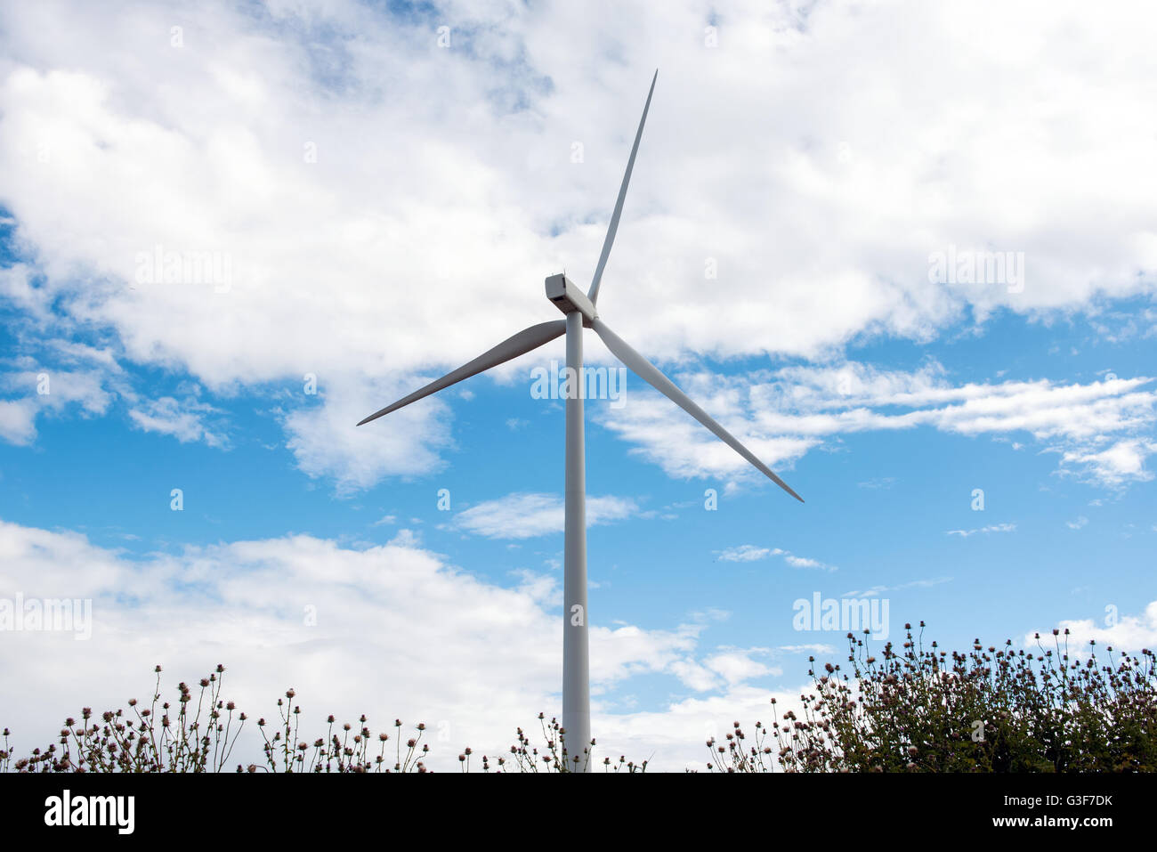 Wind energy conversion hi-res stock photography and images - Alamy