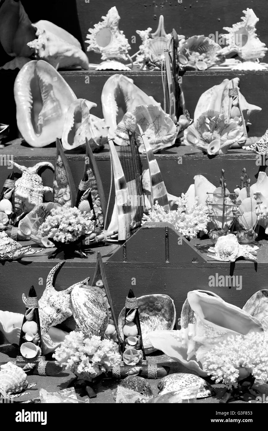 full in market old table shell and sealife in sale Stock Photo - Alamy