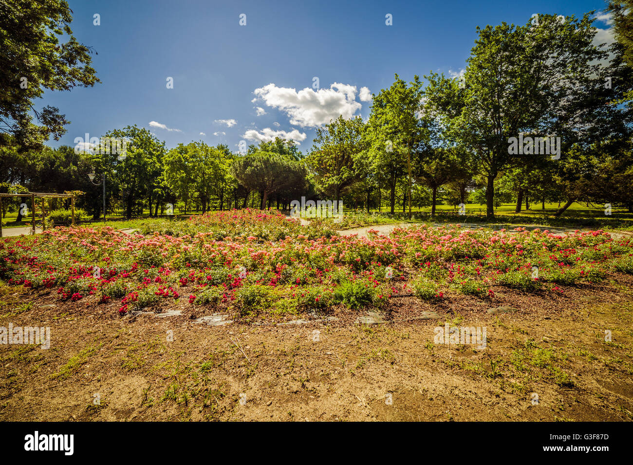 Large flower bed hi-res stock photography and images - Alamy