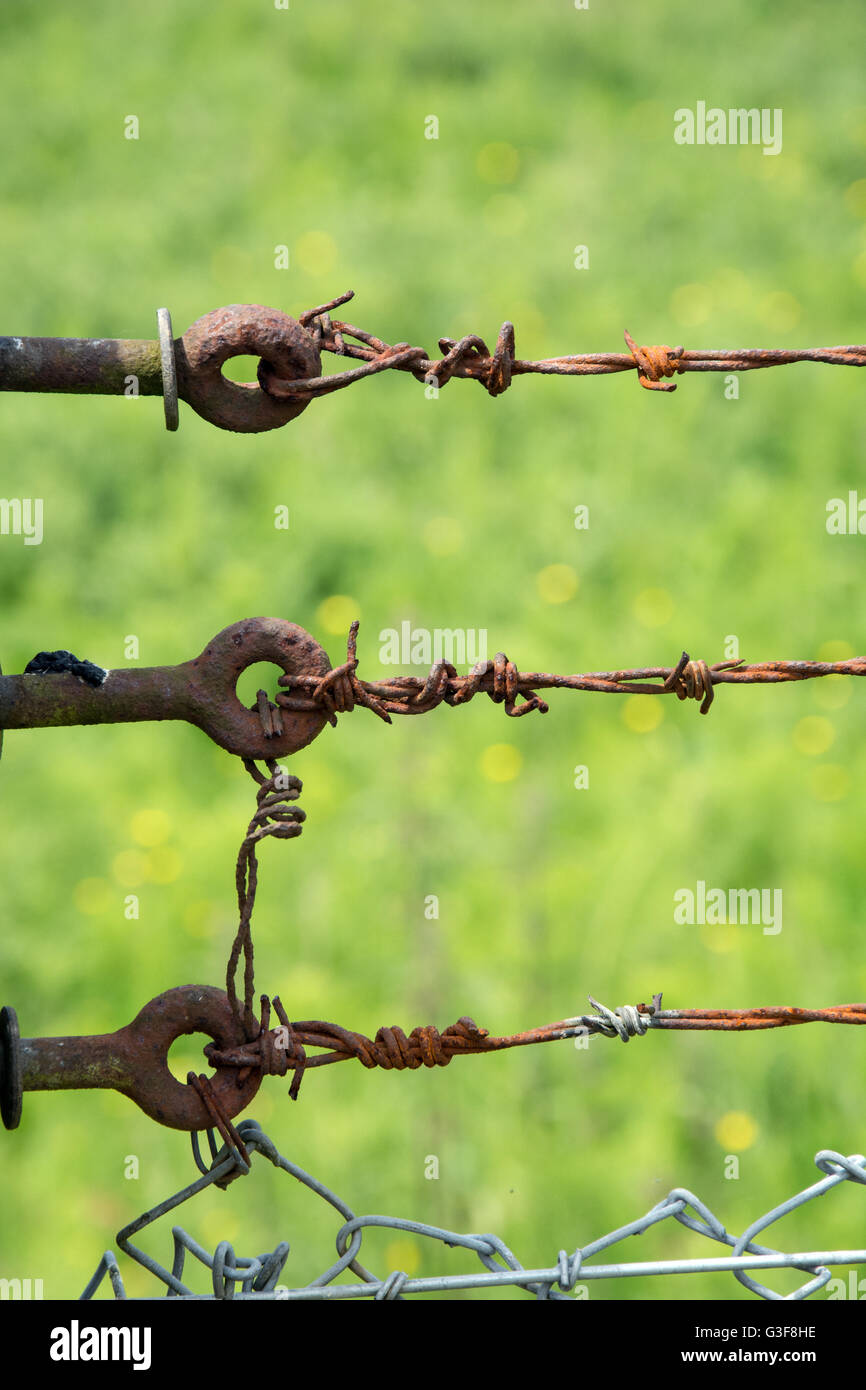 Three strands of rusty wire Stock Photo - Alamy
