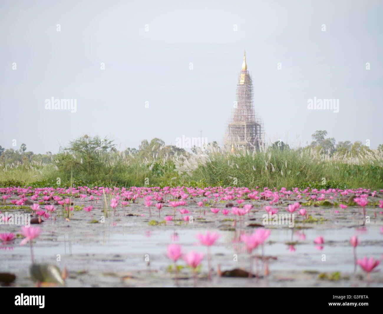 Middle water hi-res stock photography and images - Alamy