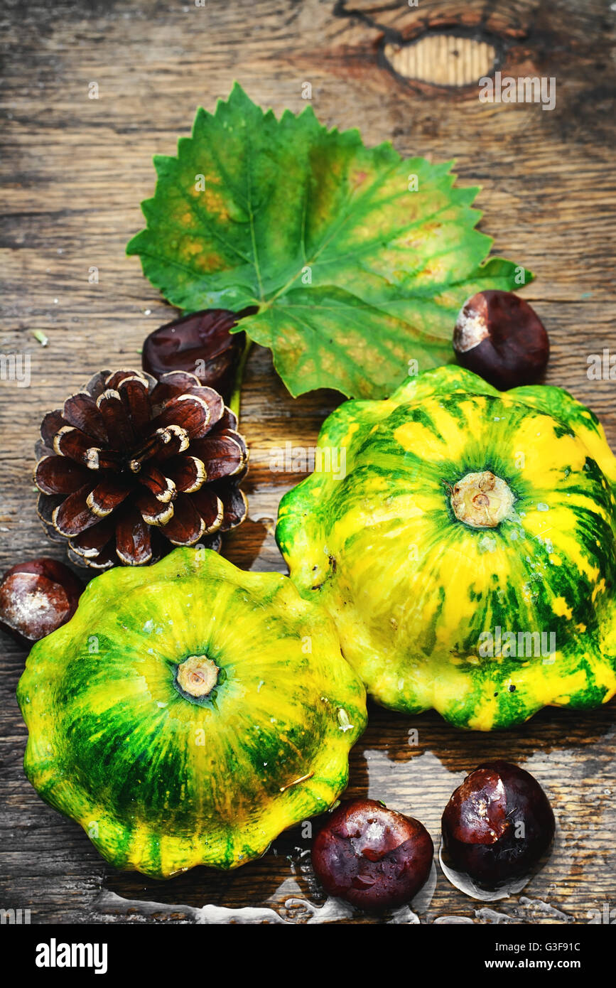 Harvest of squashes,autumn conker and cones on wooden background Stock ...