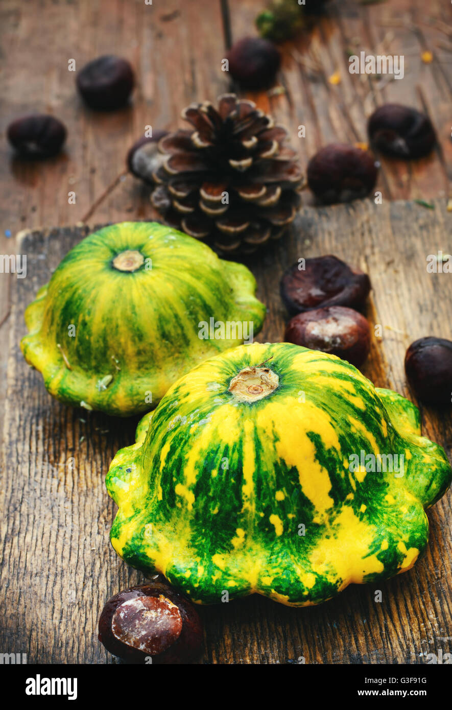 Harvest of squashes,autumn conker and cones on wooden background Stock ...