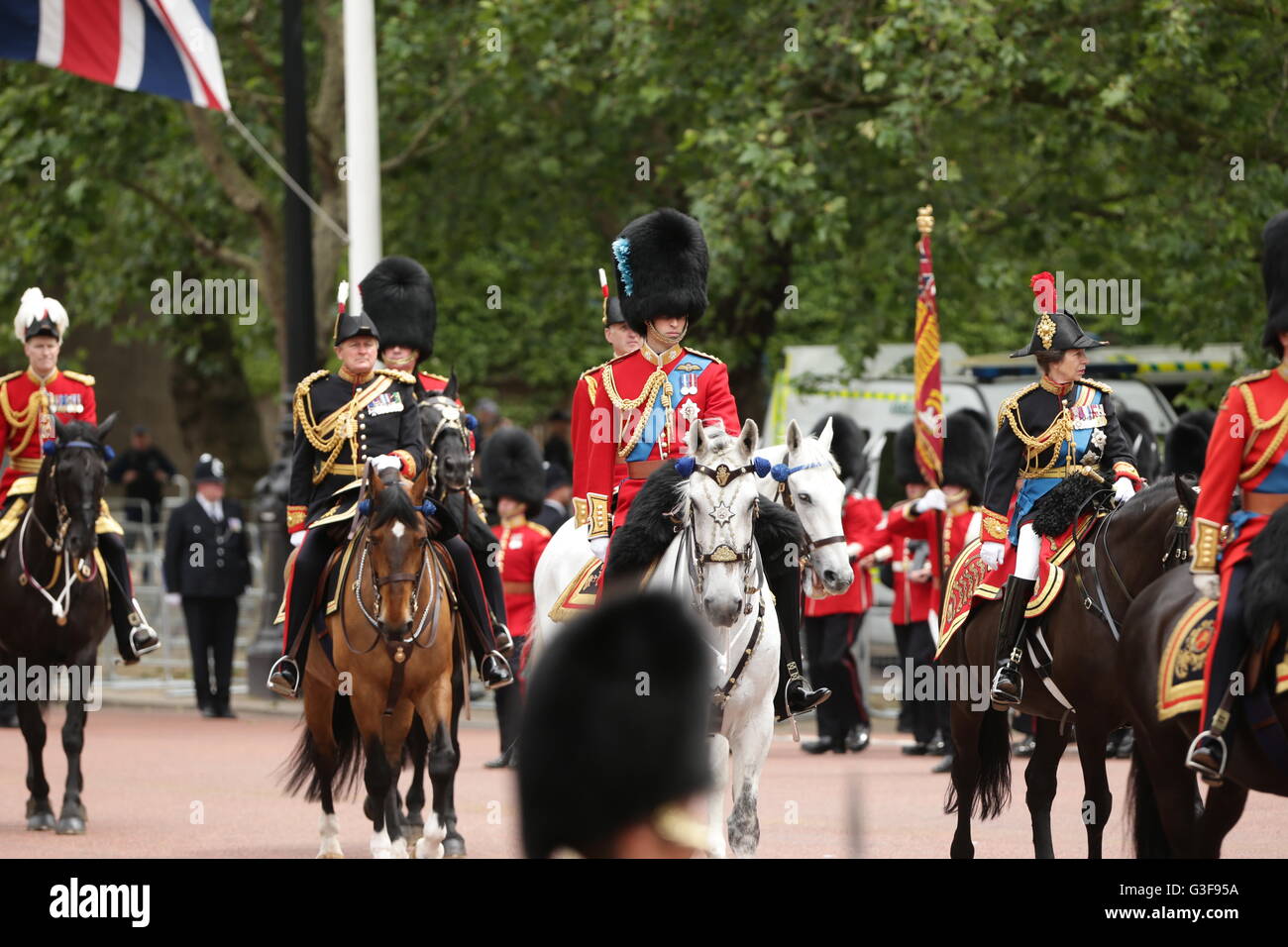 The Duke of Cambridge and the Princess Royal as the as the royal ...