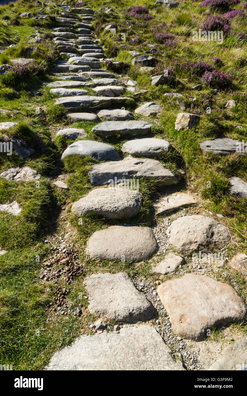 Stone slabs making stairs on a path surrounded by wild mountain grass ...