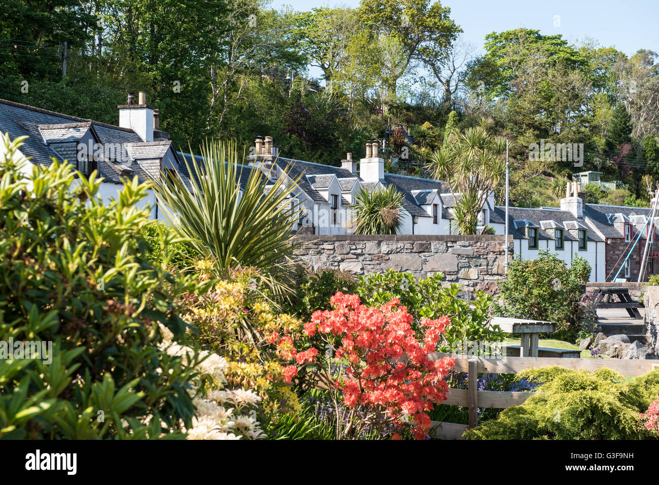 Plockton, Wester Ross, Scotland Stock Photo - Alamy