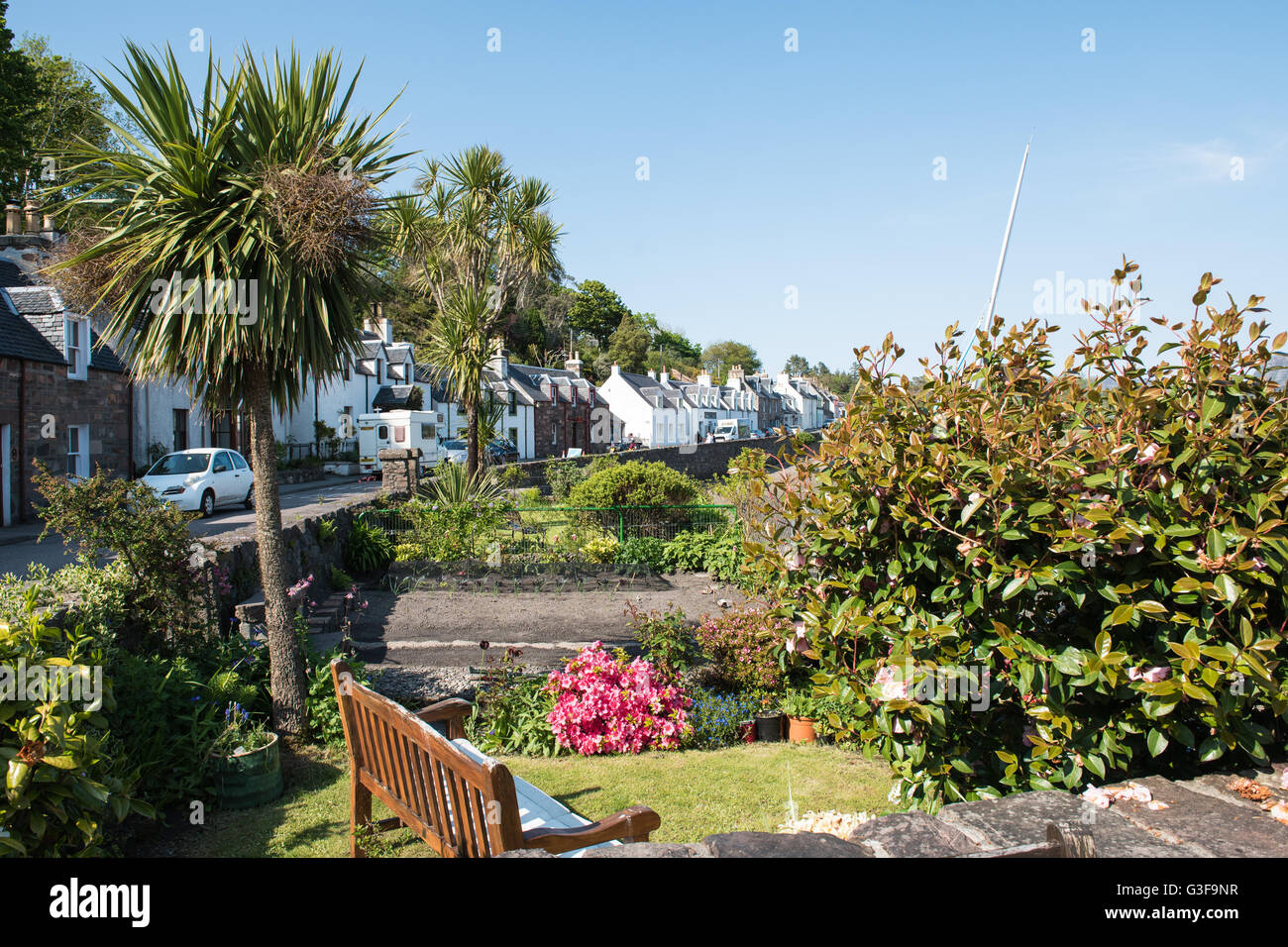 Plockton palm trees hi-res stock photography and images - Alamy