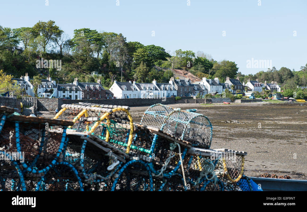 Plockton palm trees hi-res stock photography and images - Alamy