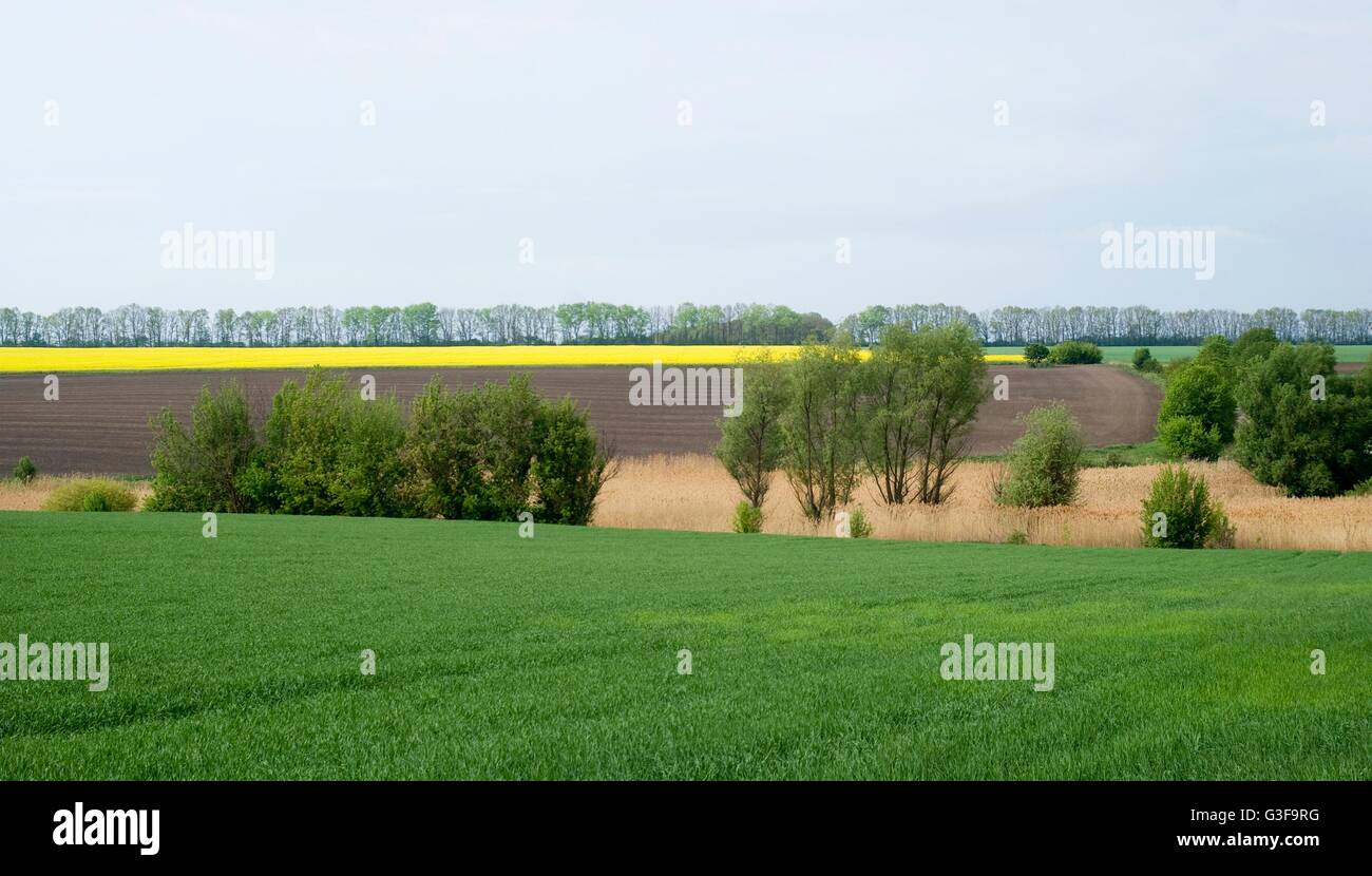 Agricultural landscape in Podolia region of Ukraine Stock Photo - Alamy
