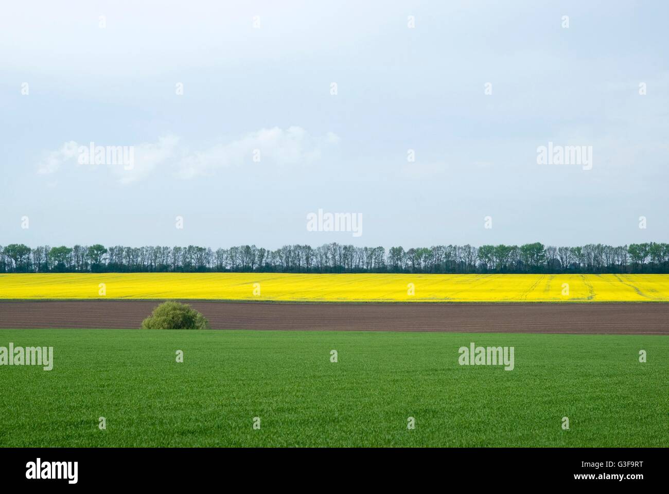 Agricultural landscape in Podolia region of Ukraine Stock Photo - Alamy