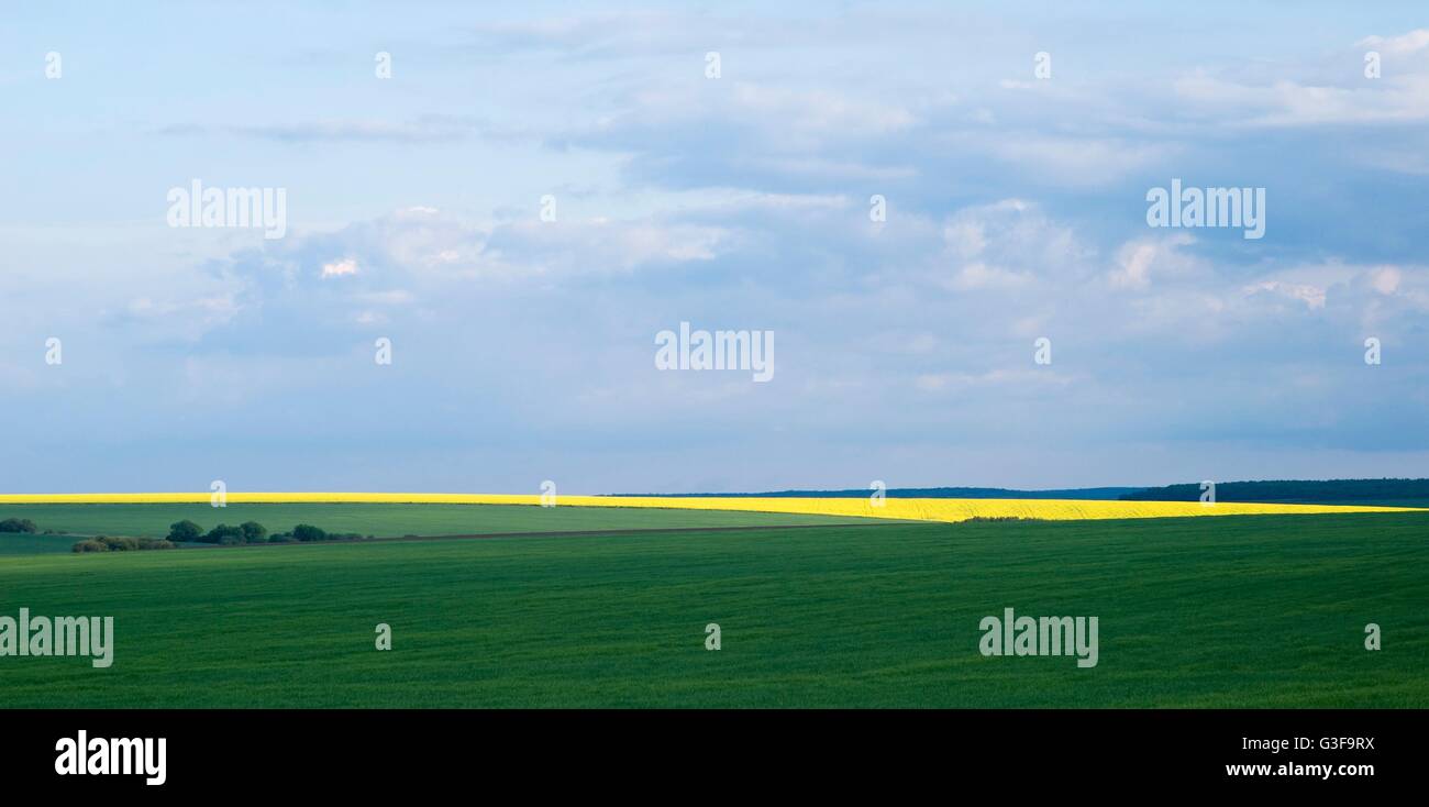 Agricultural landscape in Podolia region of Ukraine Stock Photo - Alamy