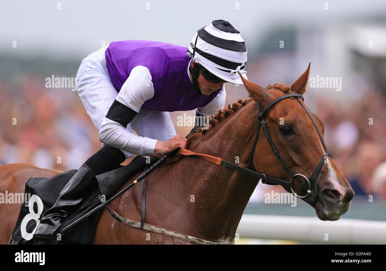 Felix leiter hi-res stock photography and images - Alamy