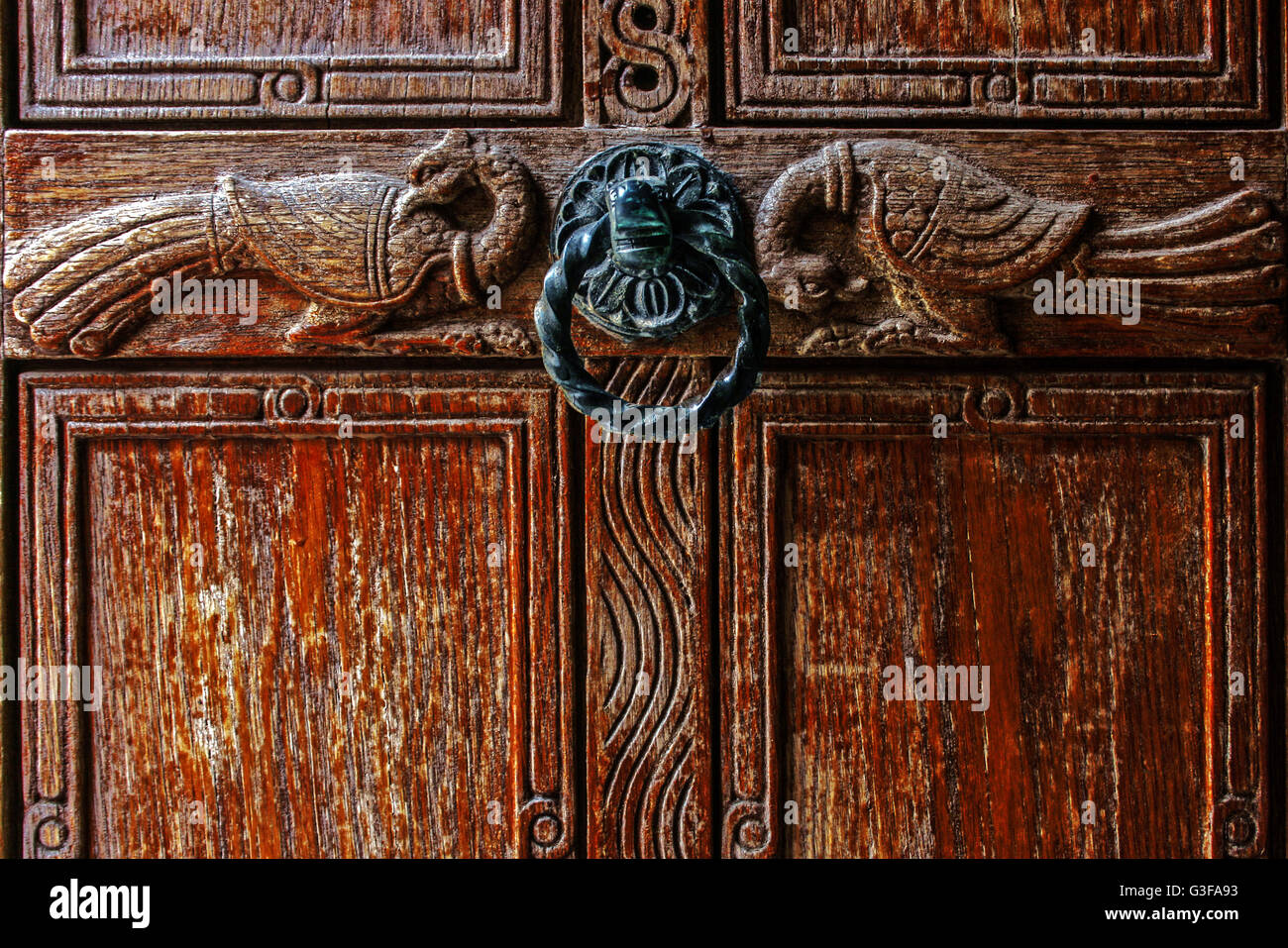 Brazen birds hi-res stock photography and images - Alamy