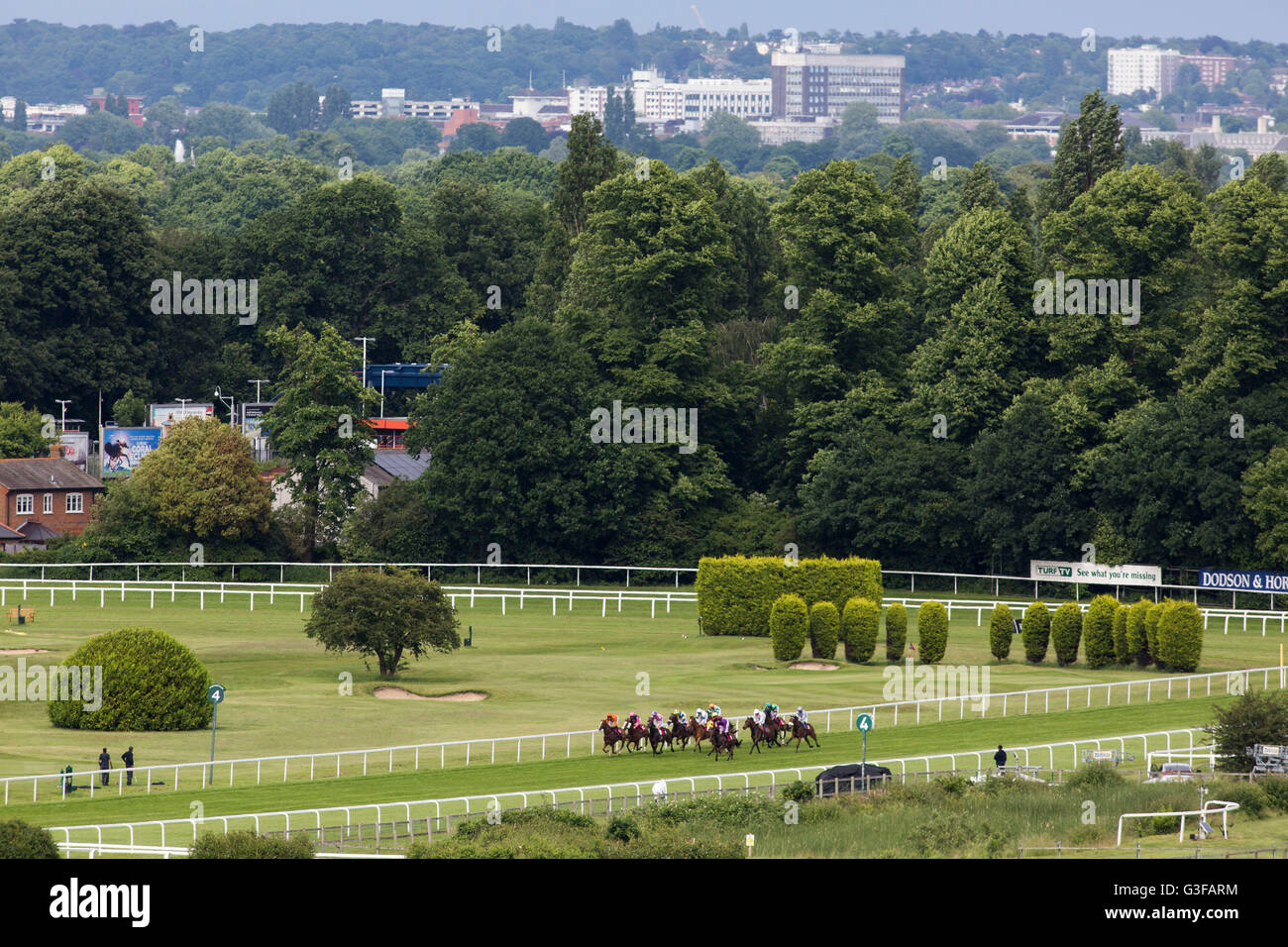 Gentlemans head hi-res stock photography and images - Alamy
