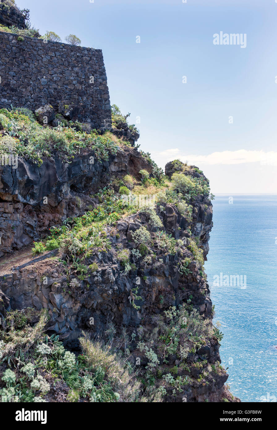 rocks with flowers and cactus on madeira island Stock Photo - Alamy