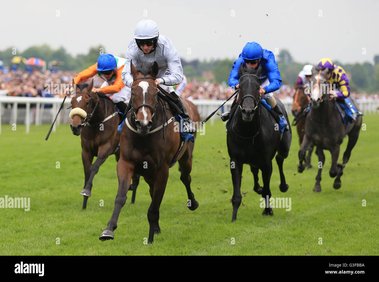 Marie of Lyon ridden by Paul Hanagan wins The Reg Griffin Appreciation ...