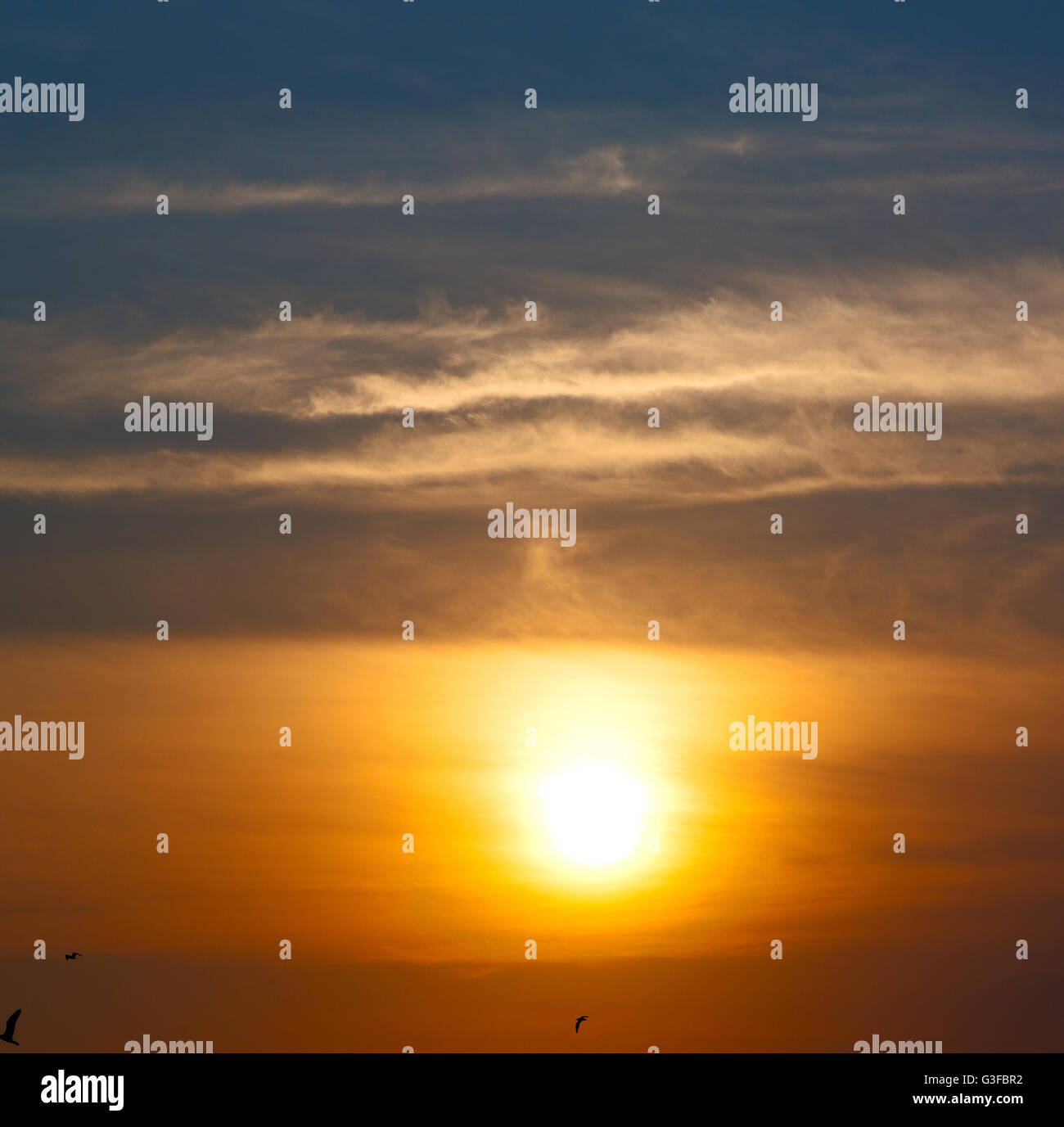 the blurred sun falling down arabian sea ocean in oman coastline Stock ...