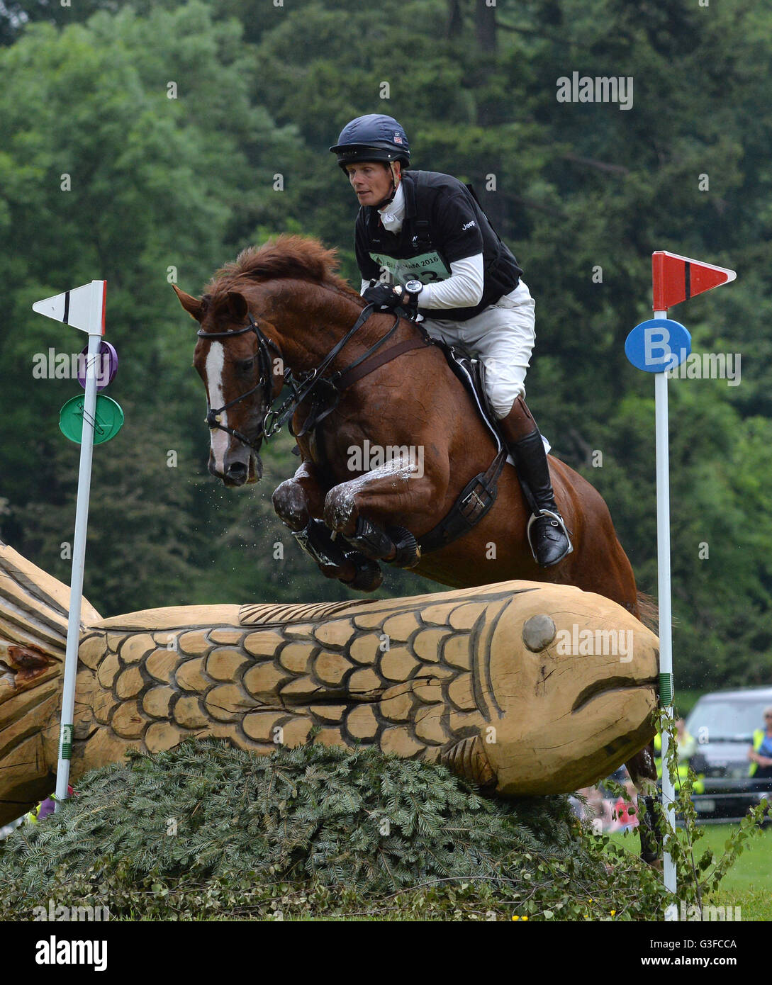 British fox in action hi-res stock photography and images - Alamy